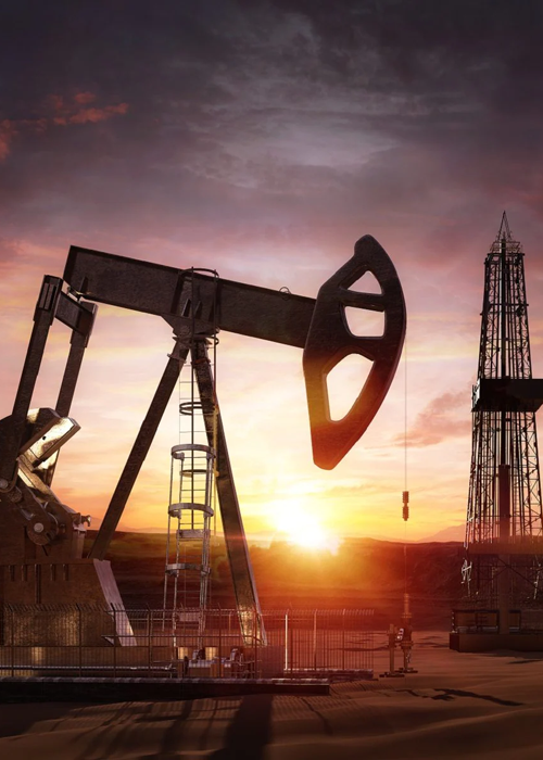 ALPHA PLUS - TRADING LLC