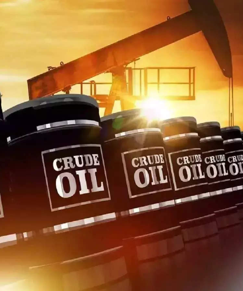 ALPHA PLUS - TRADING LLC